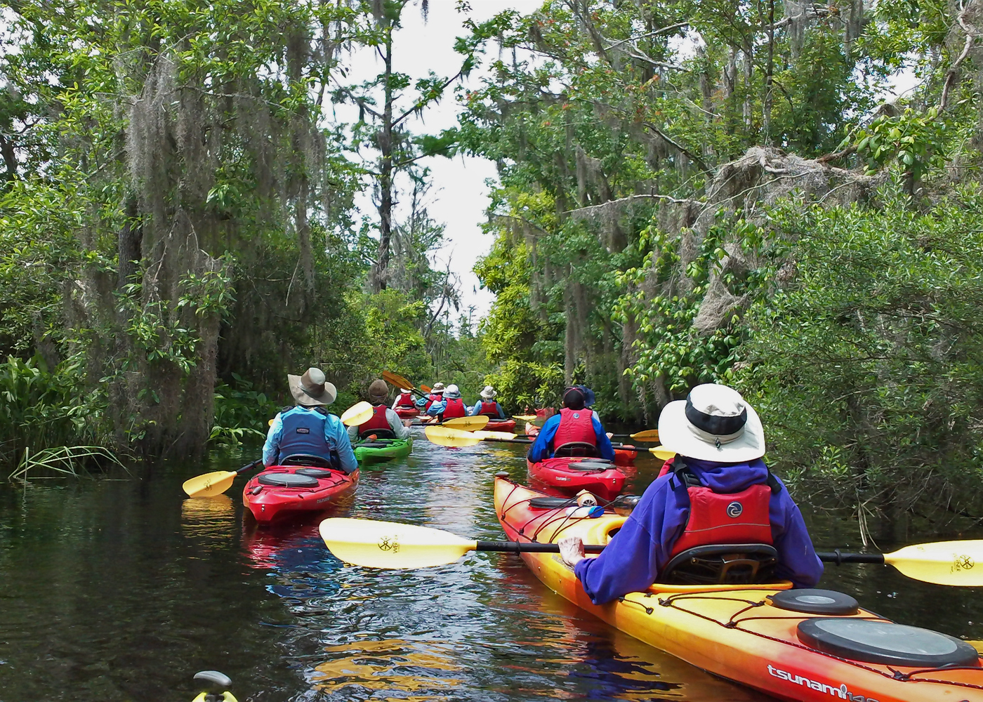 Kayaking Florida Magical Rivers and Springs | Sierra Club Outings