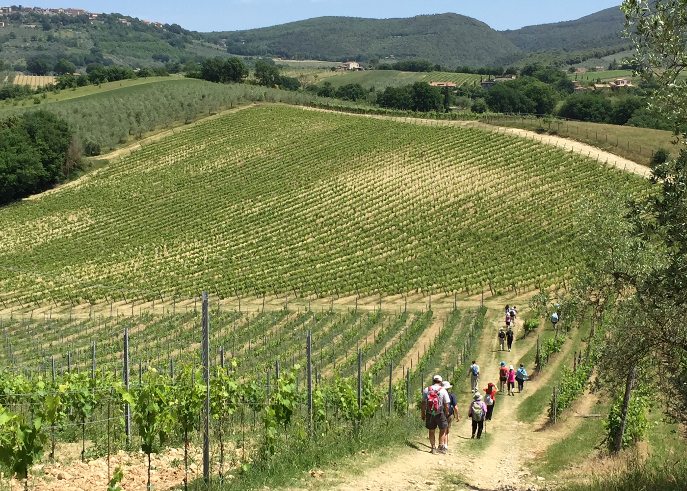 Walking the Franciscan Trail, Umbria, Italy | Sierra Club Outings