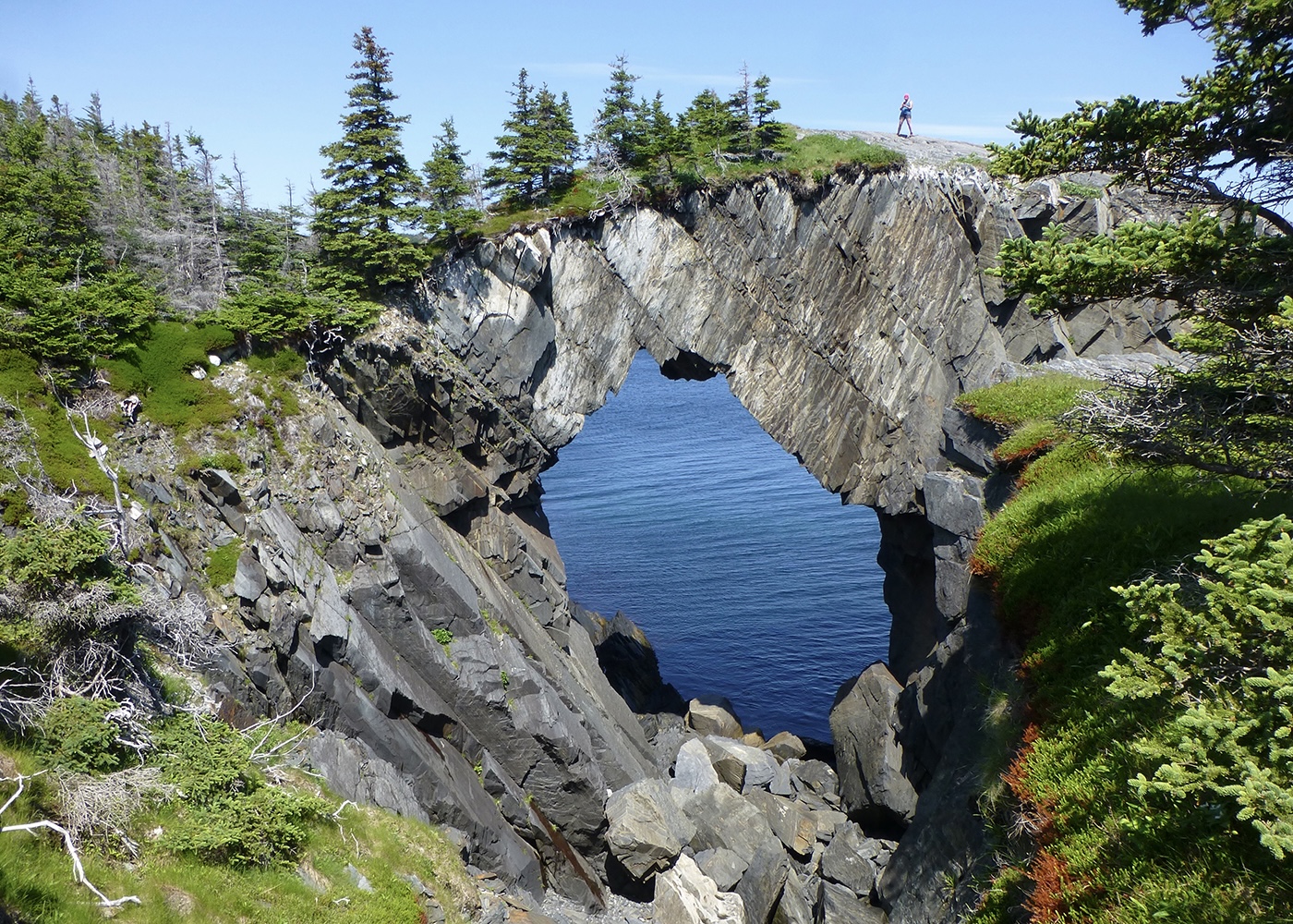 Hike and Kayak Newfoundland: Coast, Coves, and Wildlife, Canada ...