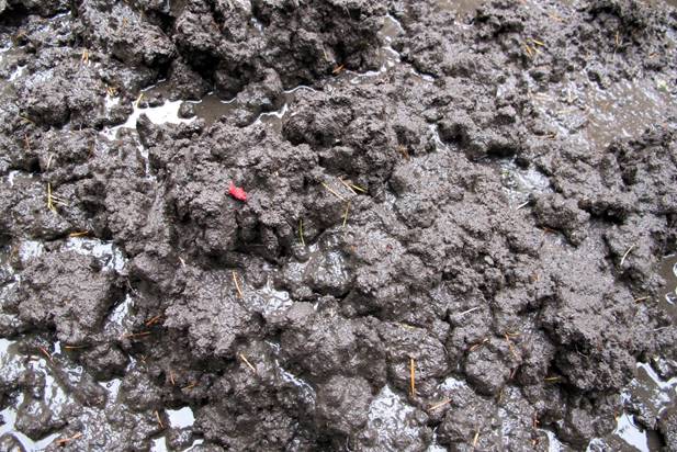 Sludge Photos | Sierra Club