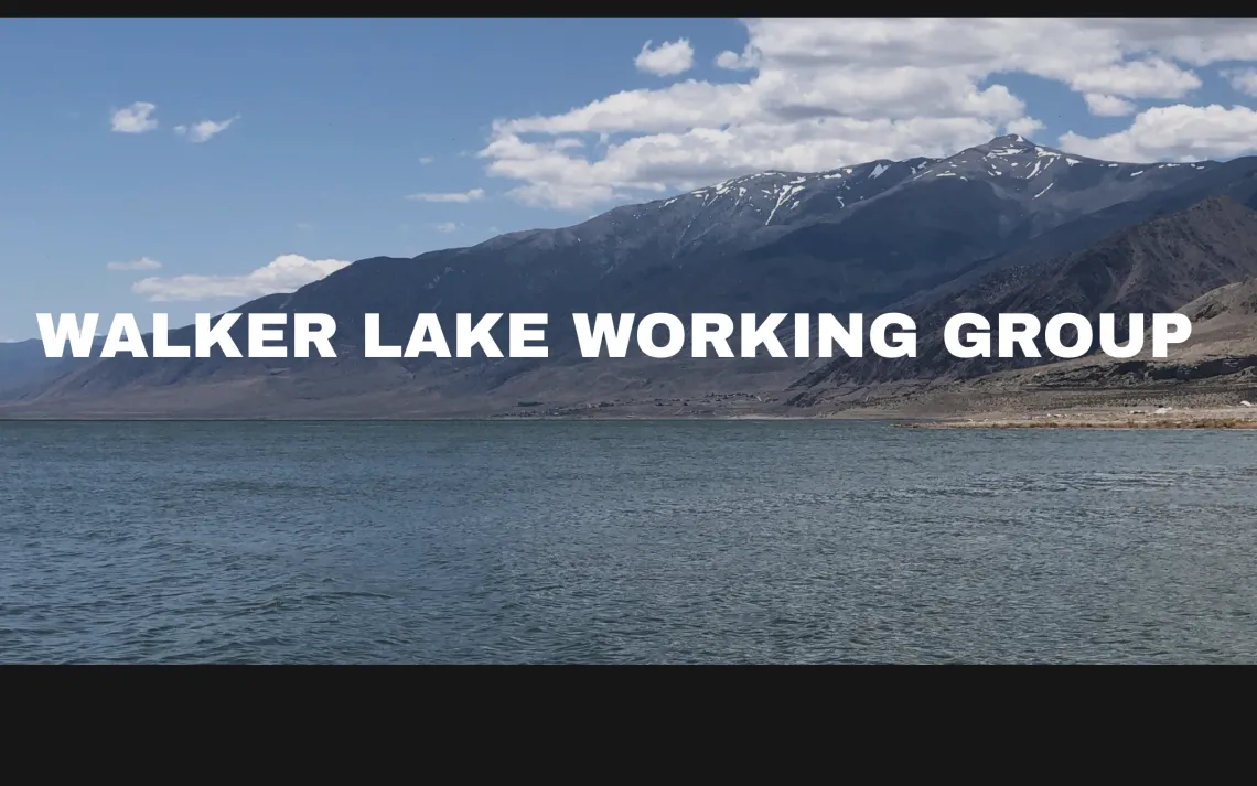 Good News in the 30-year Struggle to Save Walker Lake, Nevada | Sierra Club