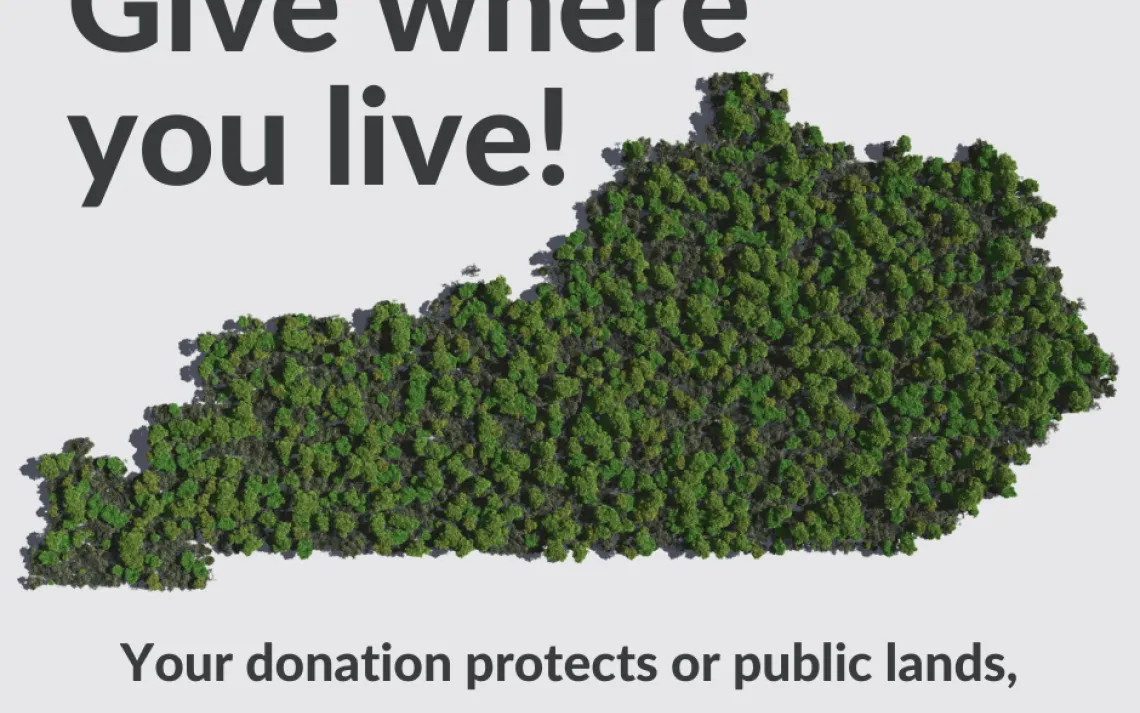 Donate and Support the Sierra Club Kentucky Chapter | Sierra Club