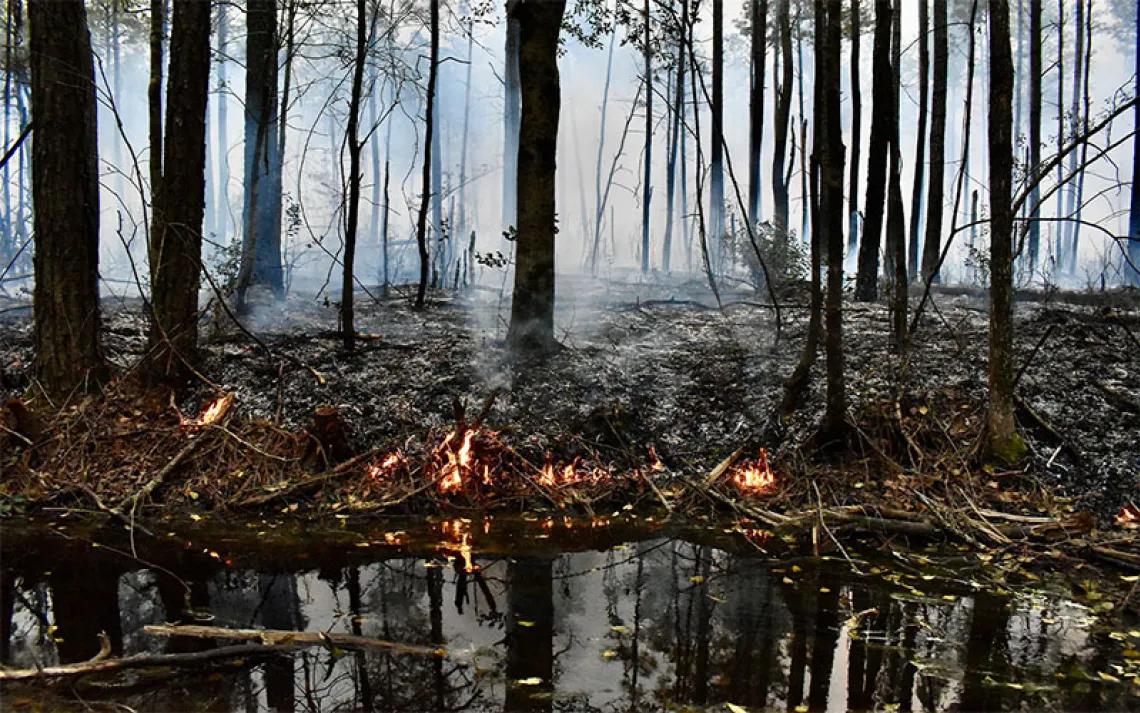 Is Florida the Answer to California’s Fire Problem? | Sierra Club