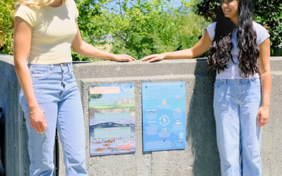 Protecting Endangered Chinook Salmon in Vintage High School’s Creek, by ...