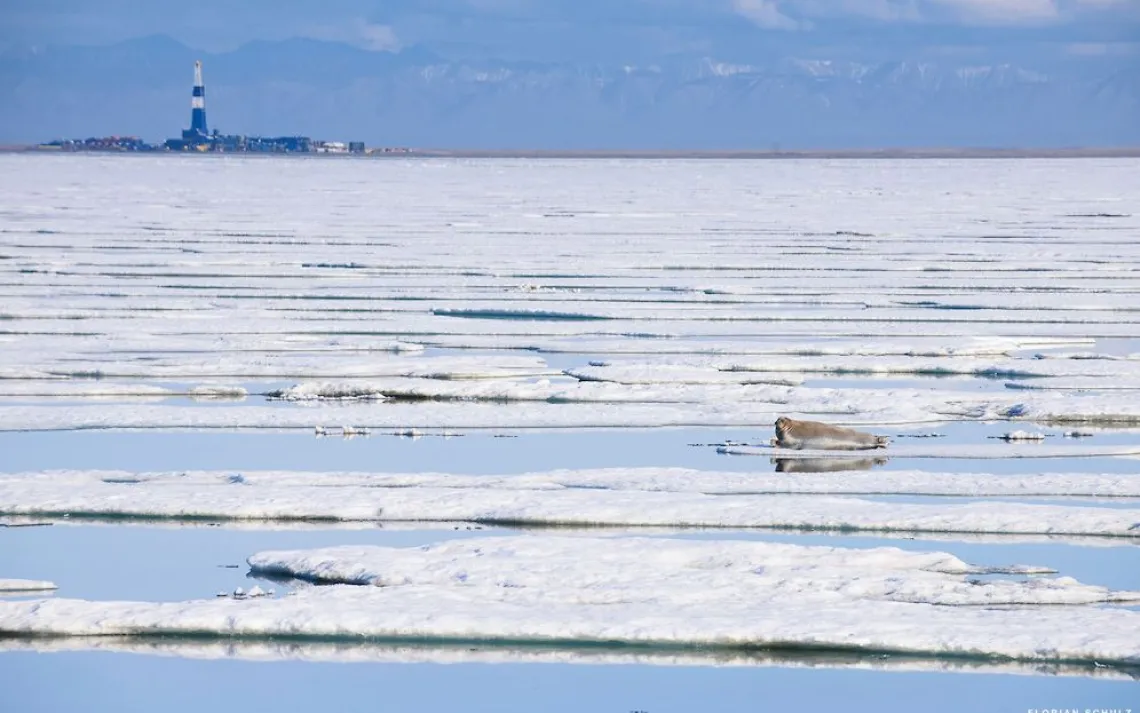 The Arctic: What’s at Stake | Sierra Club
