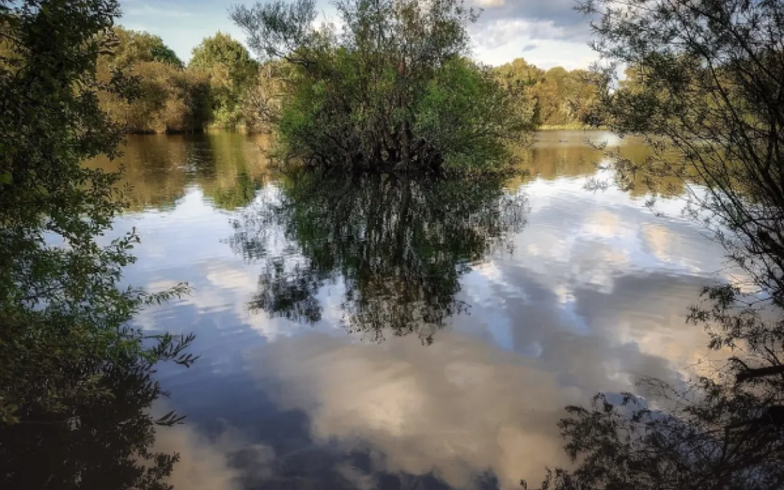 Lake Near Reading in Berkshire, United Kingdom | Sierra Club