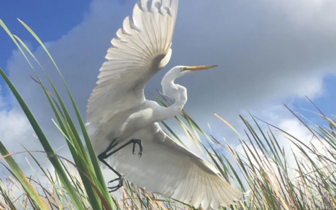 Loxahatchee Group | Sierra Club