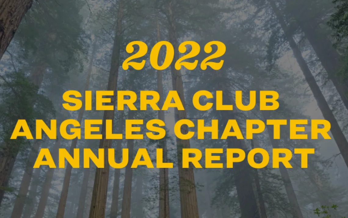 Announcing our 2022 Annual Report | Sierra Club