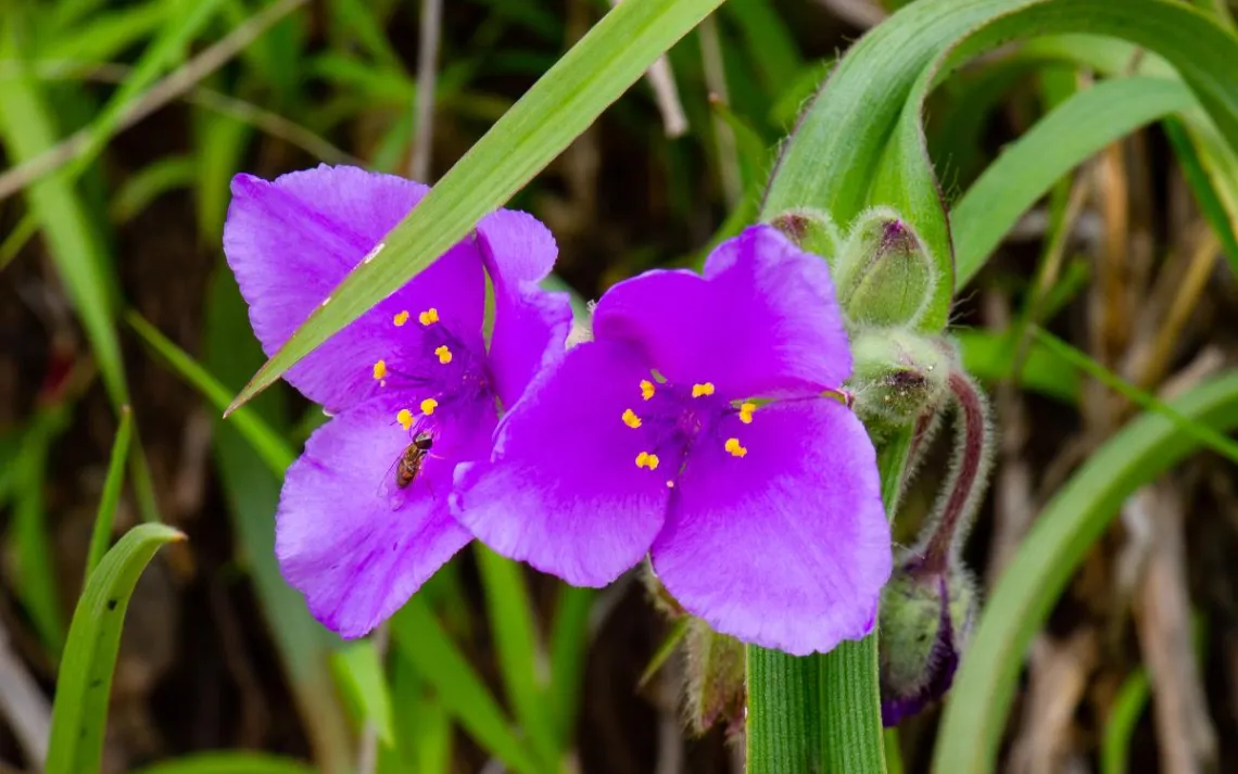 Featured Waypoint: Native Stone Scenic Byway | Sierra Club