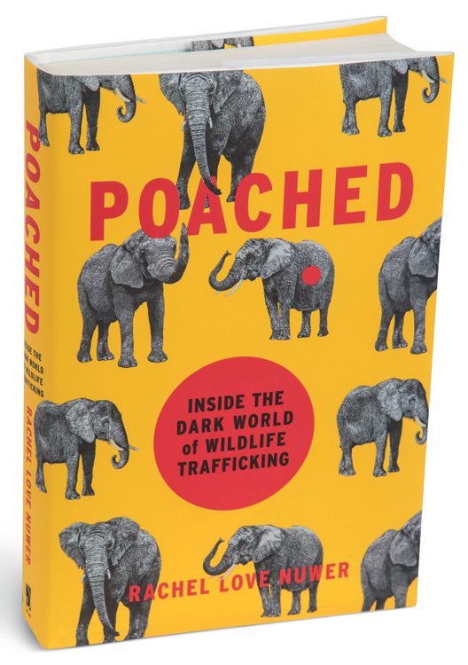 Inside the Dark World of the Animal-Parts Market | Sierra Club