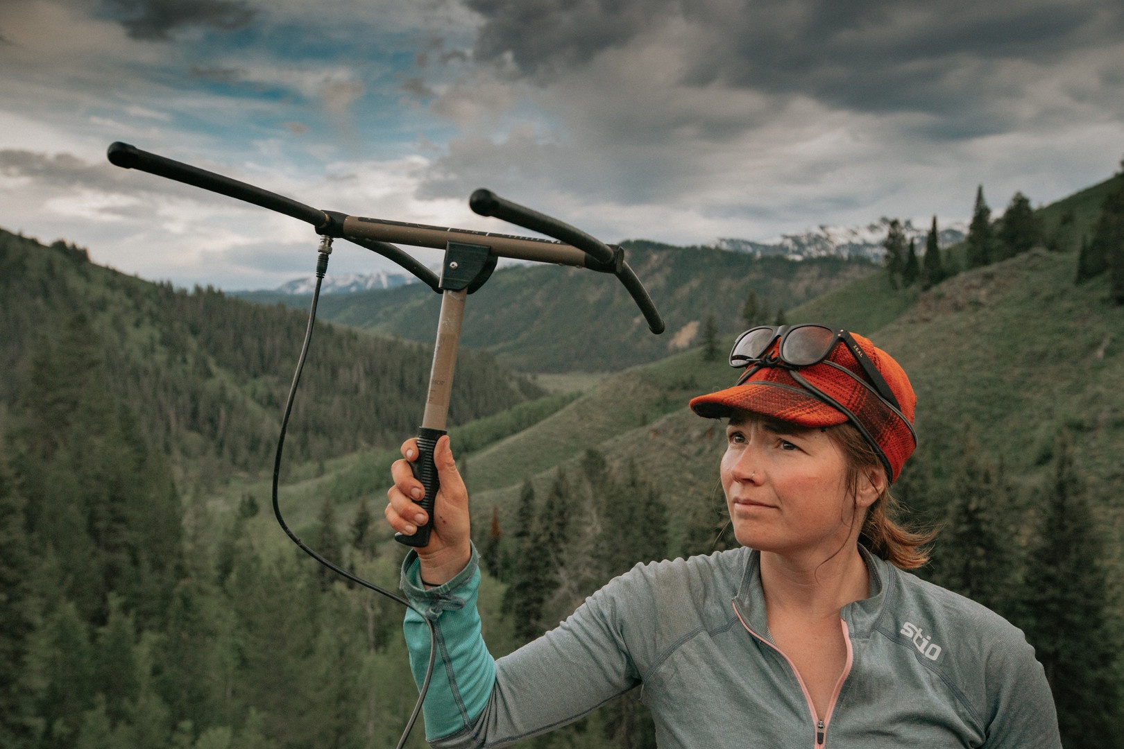 The Largest Environmental Film Festival Just Went Virtual | Sierra Club
