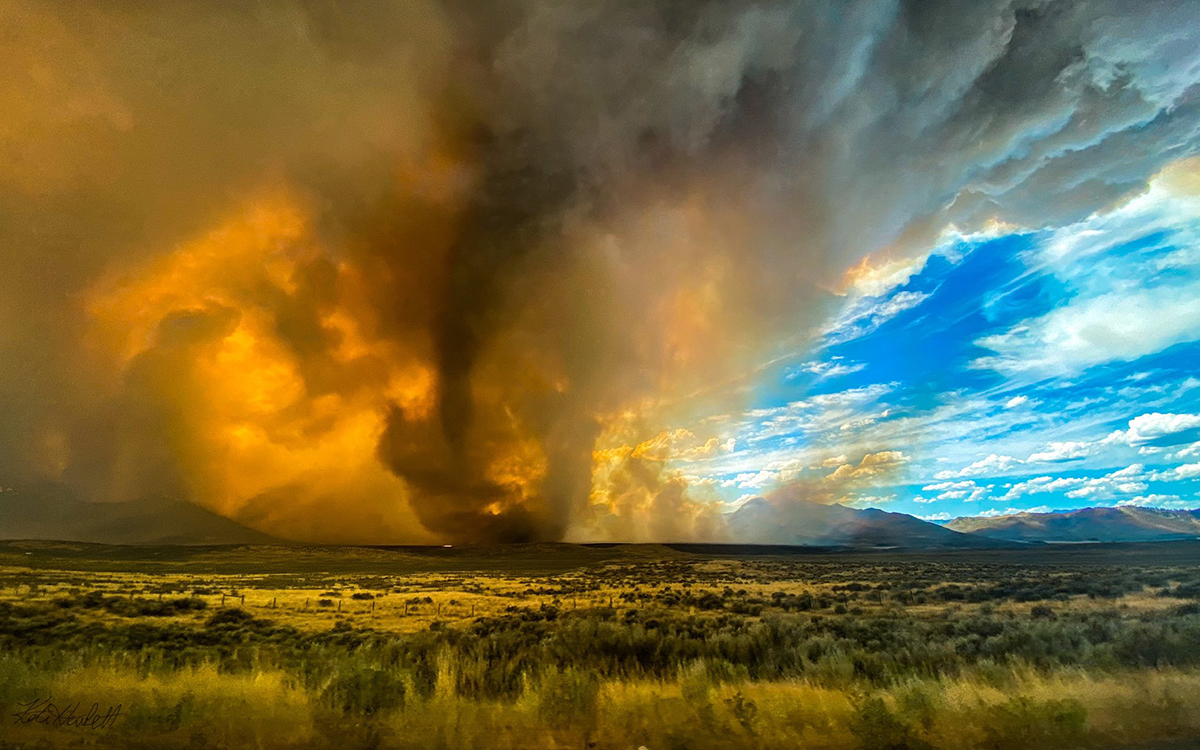 What Makes a Firenado? | Sierra Club