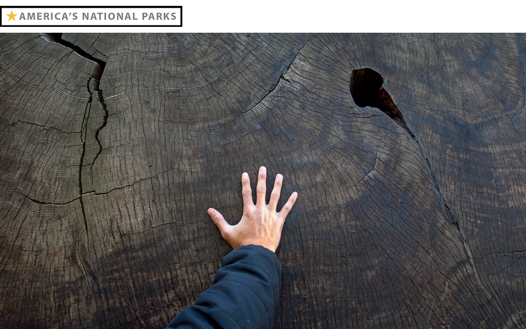 As the National Park Service Celebrates Its Centennial, the Parks Are ...