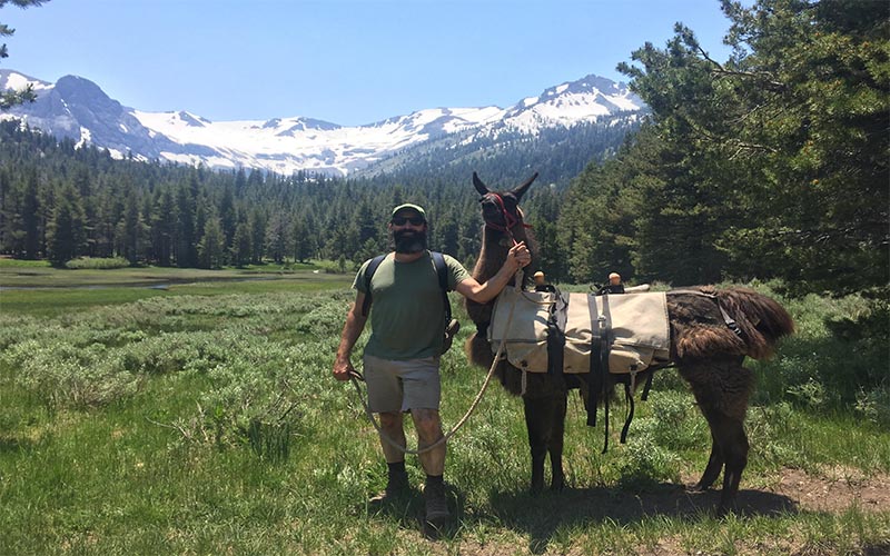 Pack It In, Pack It Out: Lessons From Backpacking With Llamas | Sierra Club